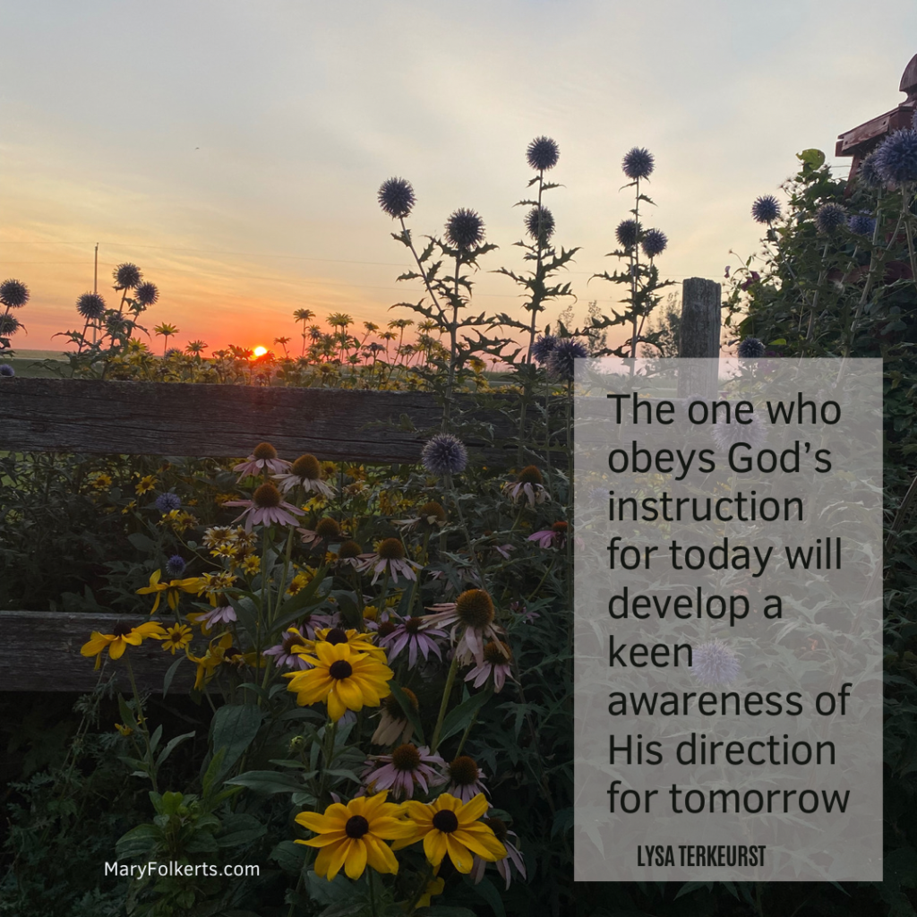 How can I find God's will for my life? - Finding Joy in the everyday